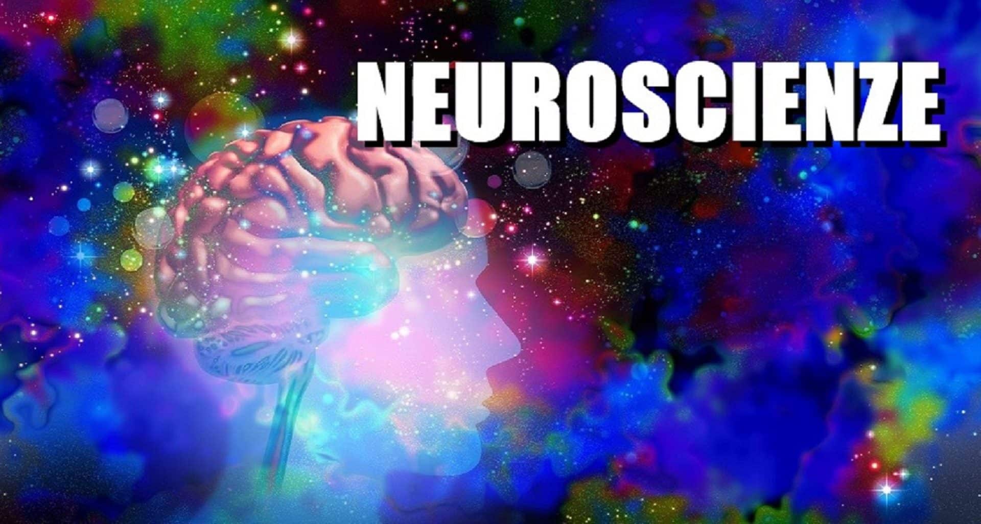 Cosa sono le neuroscienze e quali sono i campi di applicazione